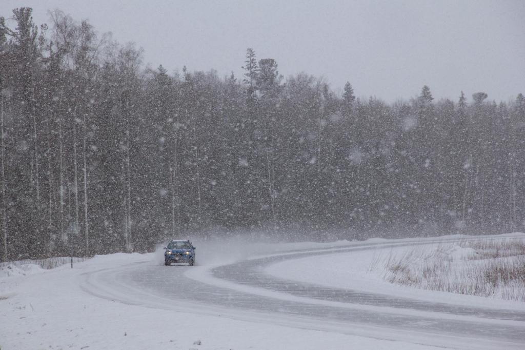 November Snow – A Little Bit of Everything, With Love